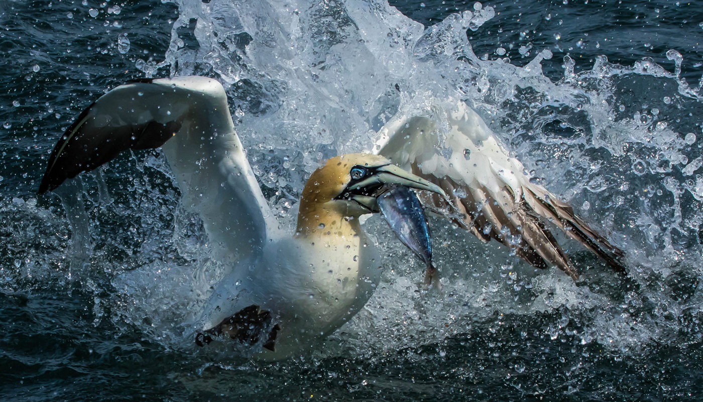 *Les Smith Trophy | Gallery | Wetherby Camera Club